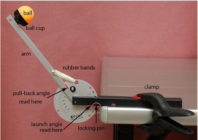 School Teachers | Science Project Catapult | XPULT Catapult